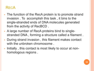 Types of Recombinase | PPTX