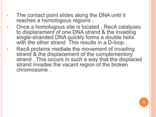 Types of Recombinase | PPTX
