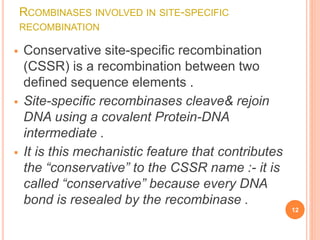 Types of Recombinase | PPTX