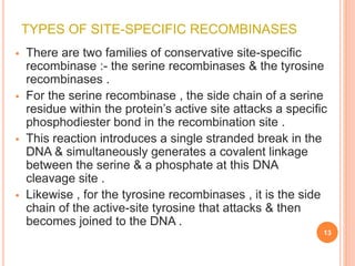 Types of Recombinase | PPTX