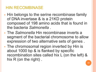 Types of Recombinase | PPTX
