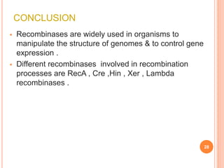 Types of Recombinase | PPTX