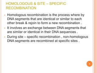 Types of Recombinase | PPTX