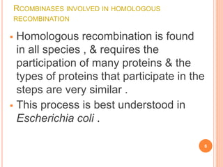 Types of Recombinase | PPTX