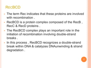 Types of Recombinase | PPTX