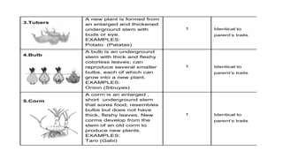 TYPES OF REPRODUCTION.pptx