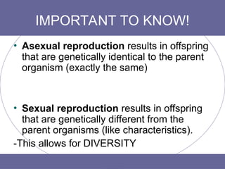 identify the type of sexual reproduction in animals | PPT