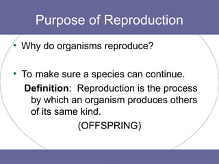 identify the type of sexual reproduction in animals | PPT