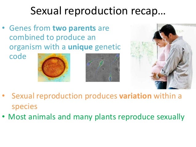 Types of reproduction & cuttings