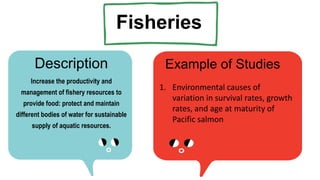 TYPES OF RESEARCH | PDF