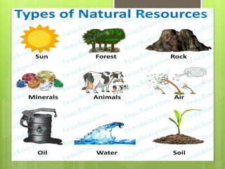 Types of resources | PPTX