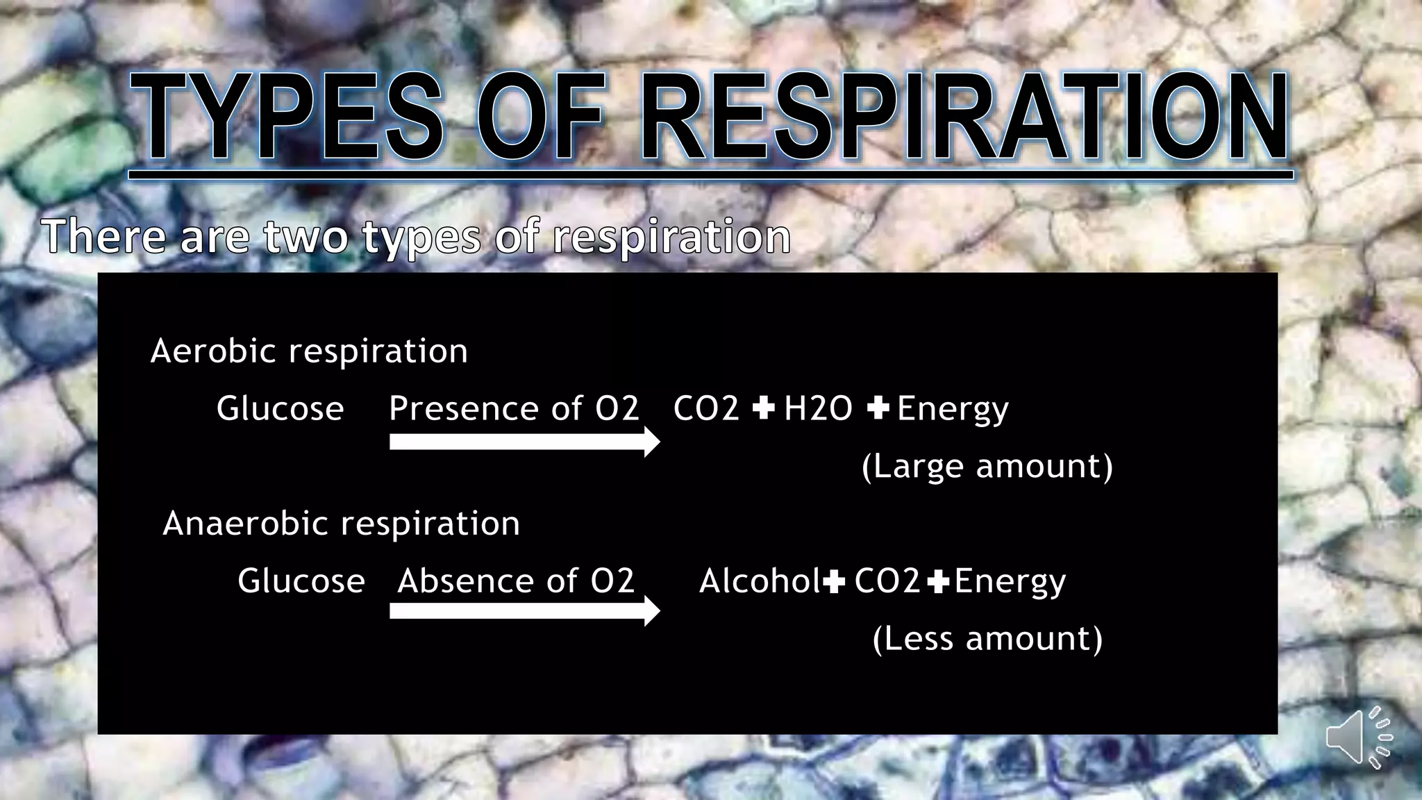 Types of respiration | PPTX