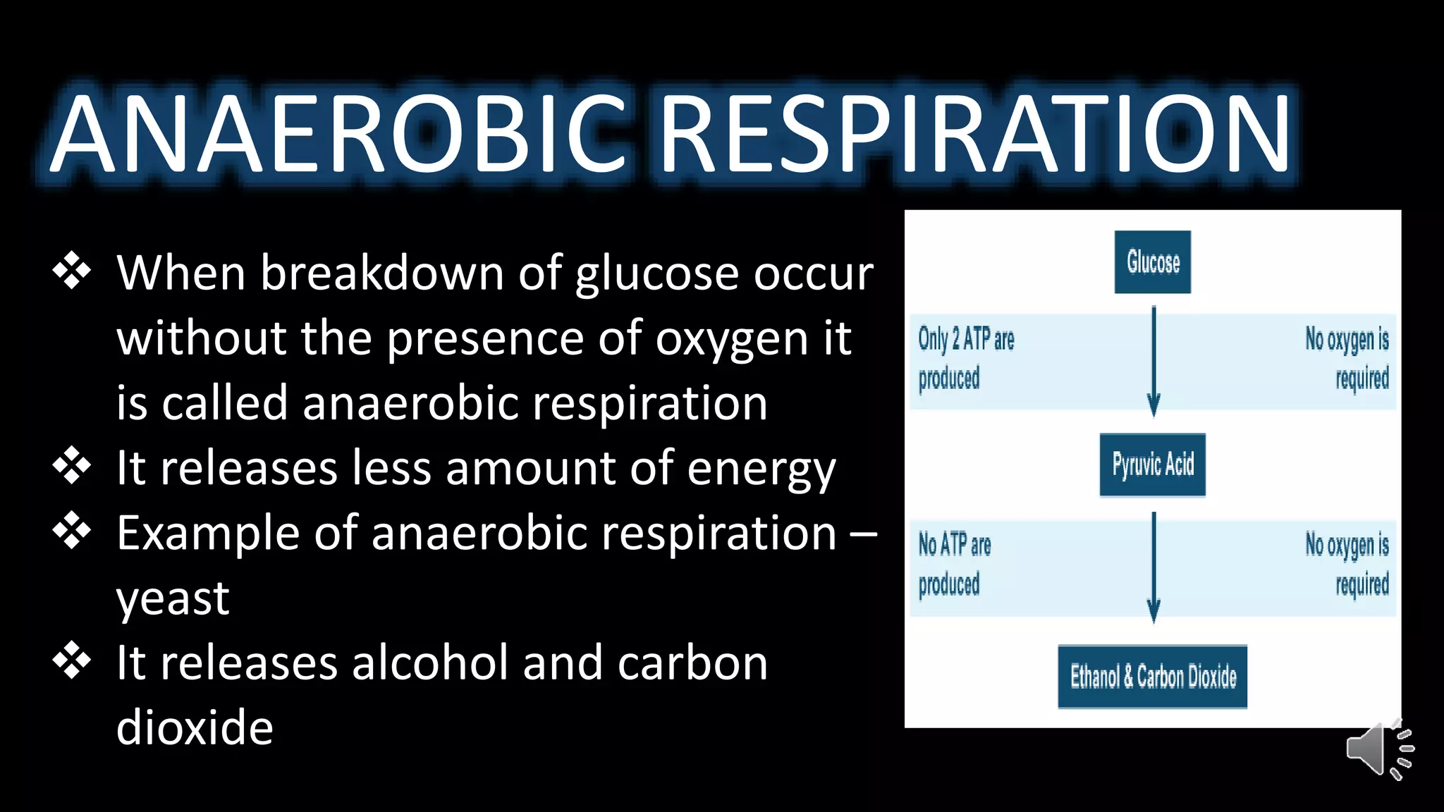 Types of respiration | PPTX