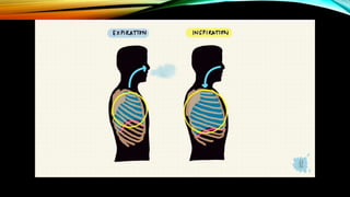 Types of respiration.pptx