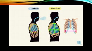 Types of respiration.pptx