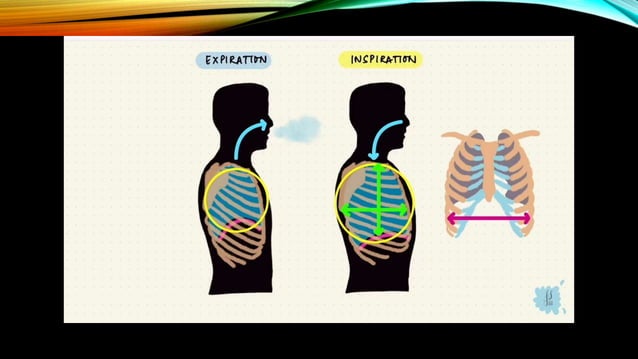 Types of respiration.pptx