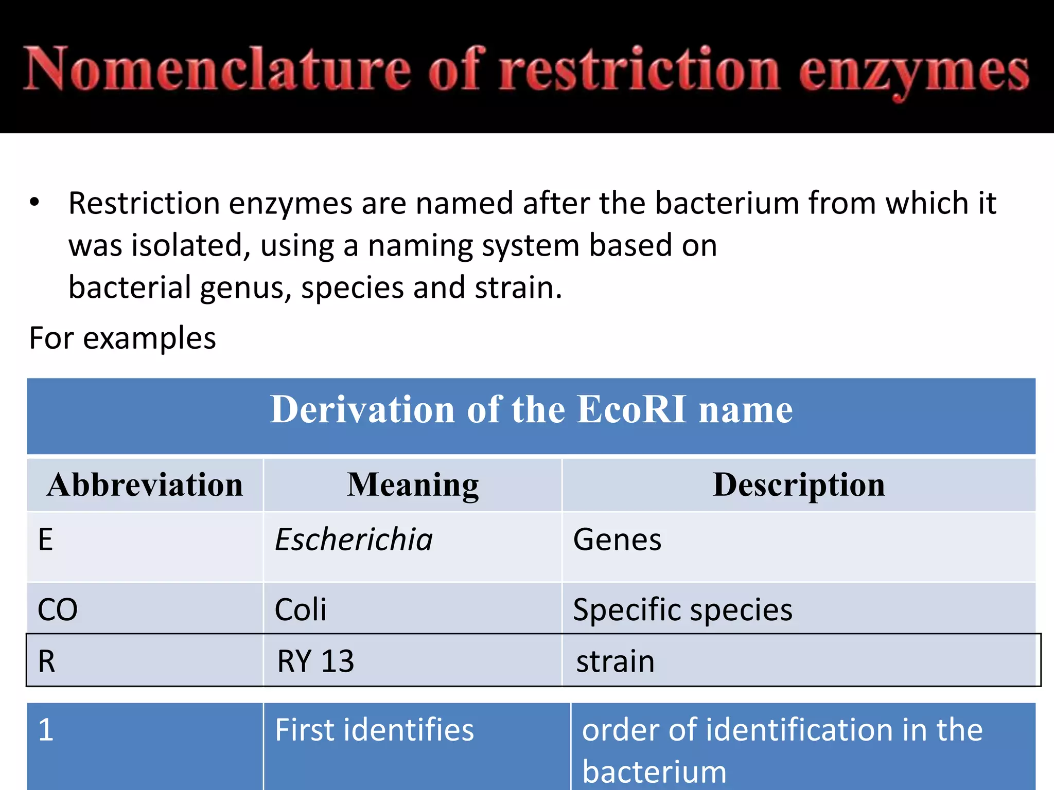 Types of restriction enzymes | PPTX