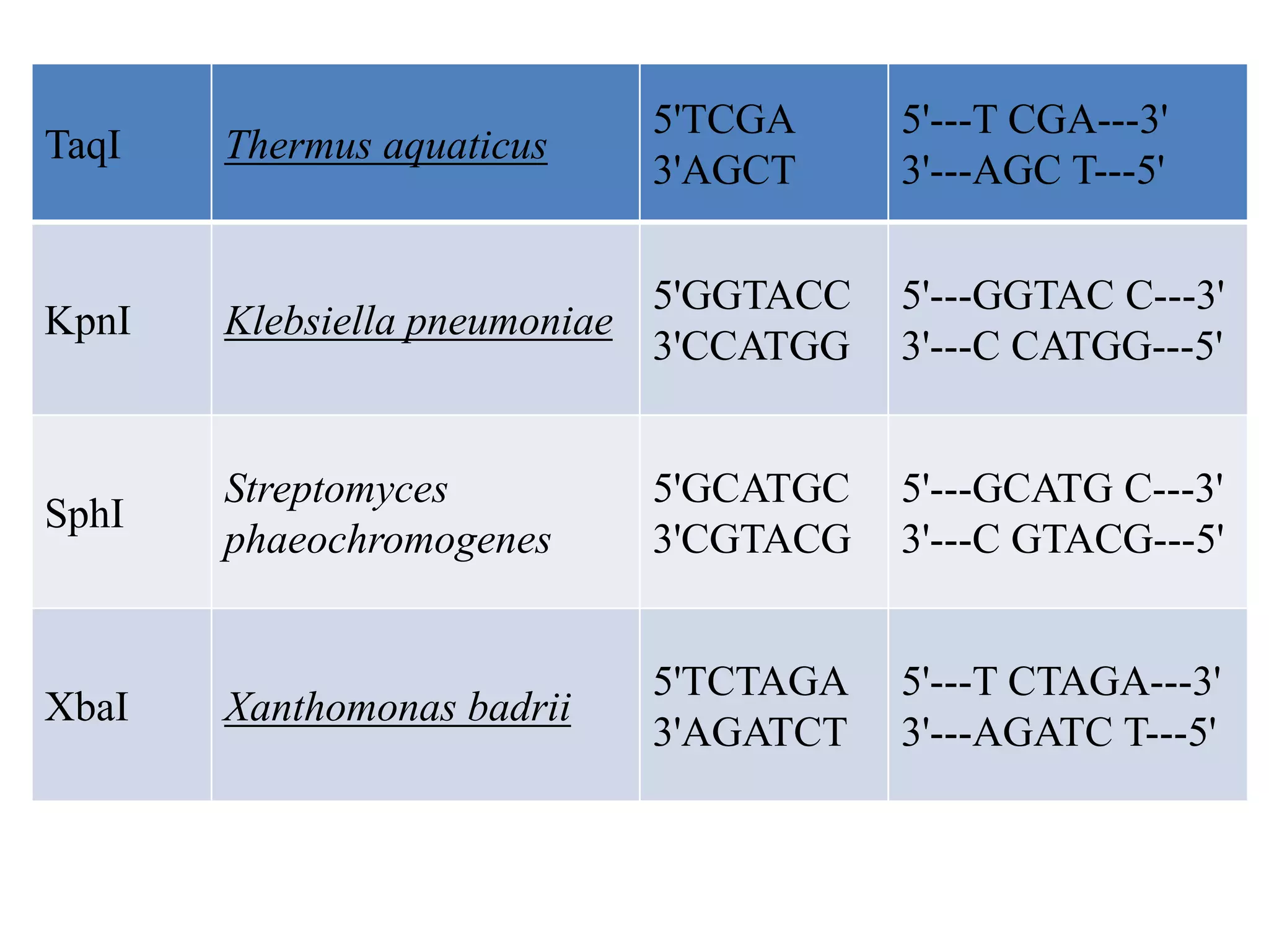 Types of restriction enzymes | PPTX