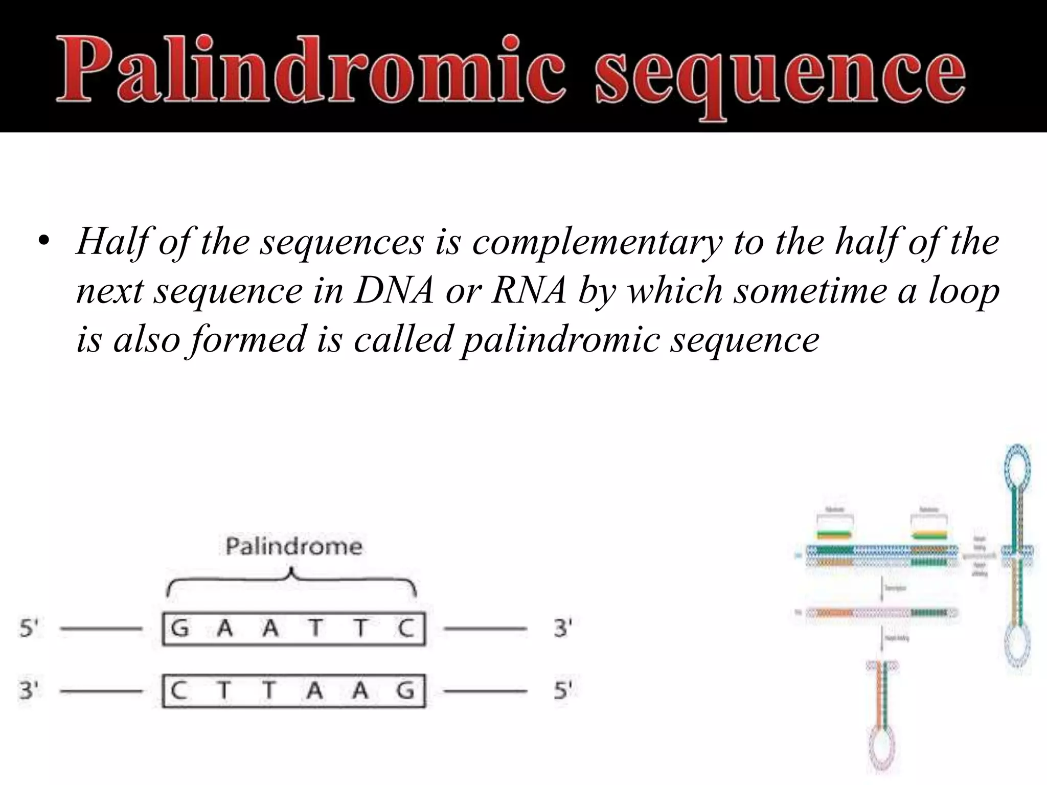 Types of restriction enzymes | PPTX