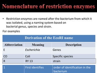 Types of restriction enzymes | PPTX