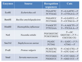 Types of restriction enzymes | PPTX