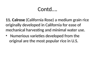 Types of rice and its storage. Varieties of rice | PPTX