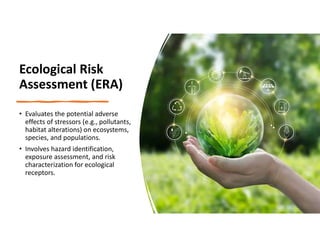 Types of Risk Assessments and Risk Management.pdf