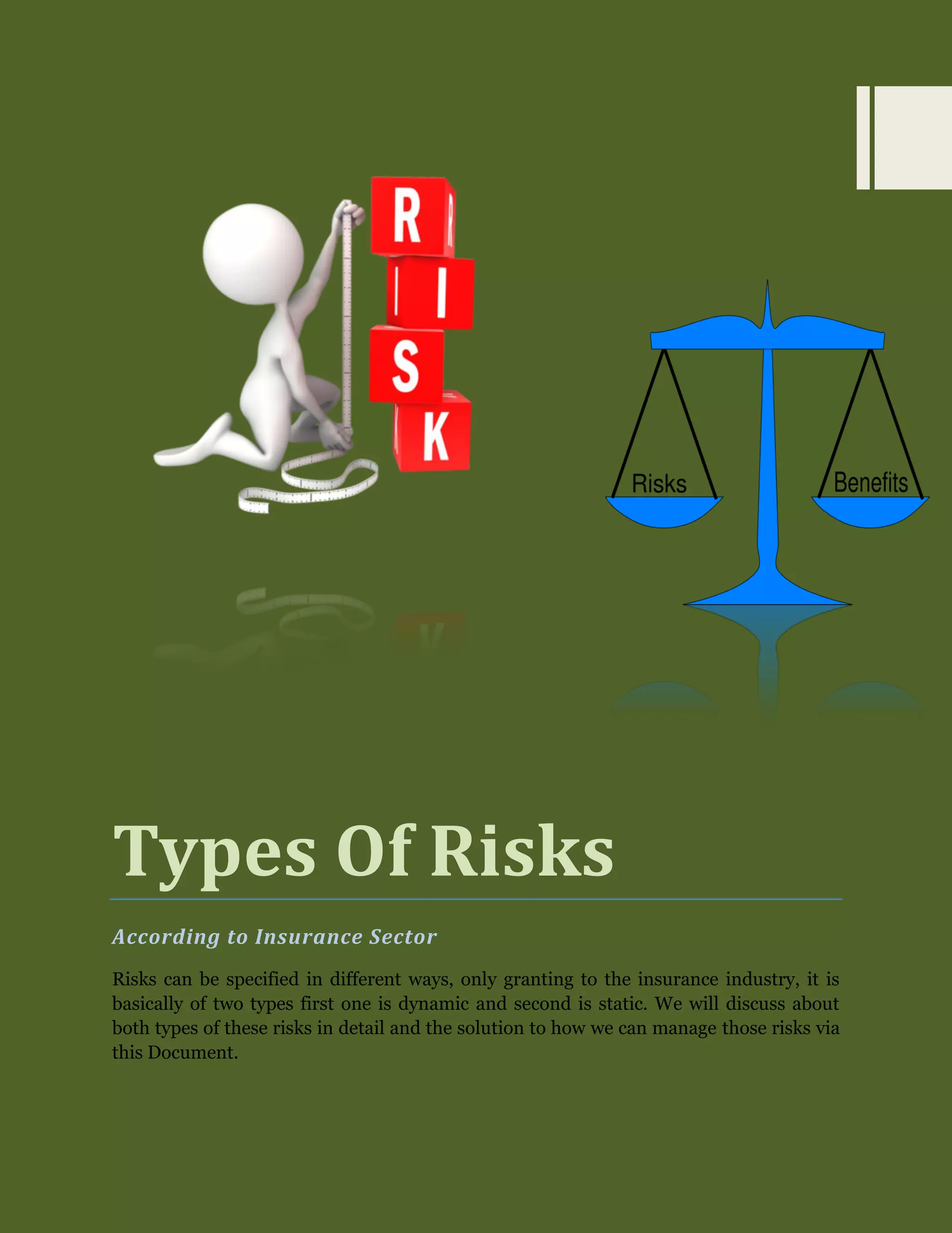 Types Of Risks | PDF | Insurance | Personal Finance