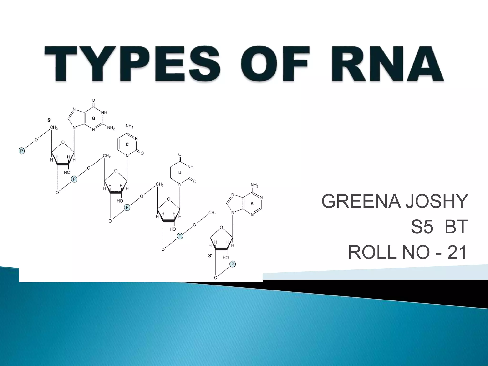 Types Of Rna Pptx Programming Languages Computing