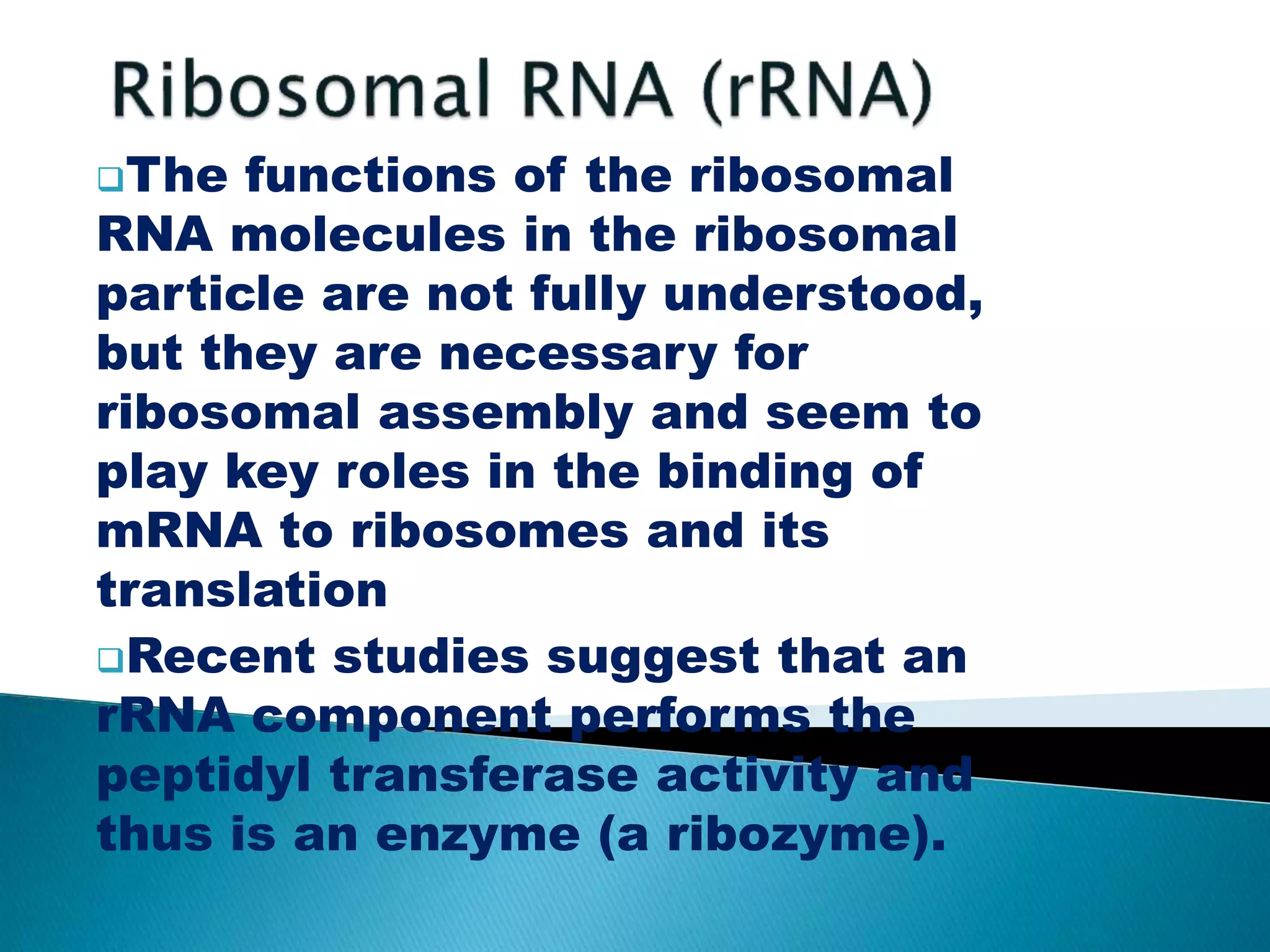 Types of rna | PPTX | Programming Languages | Computing