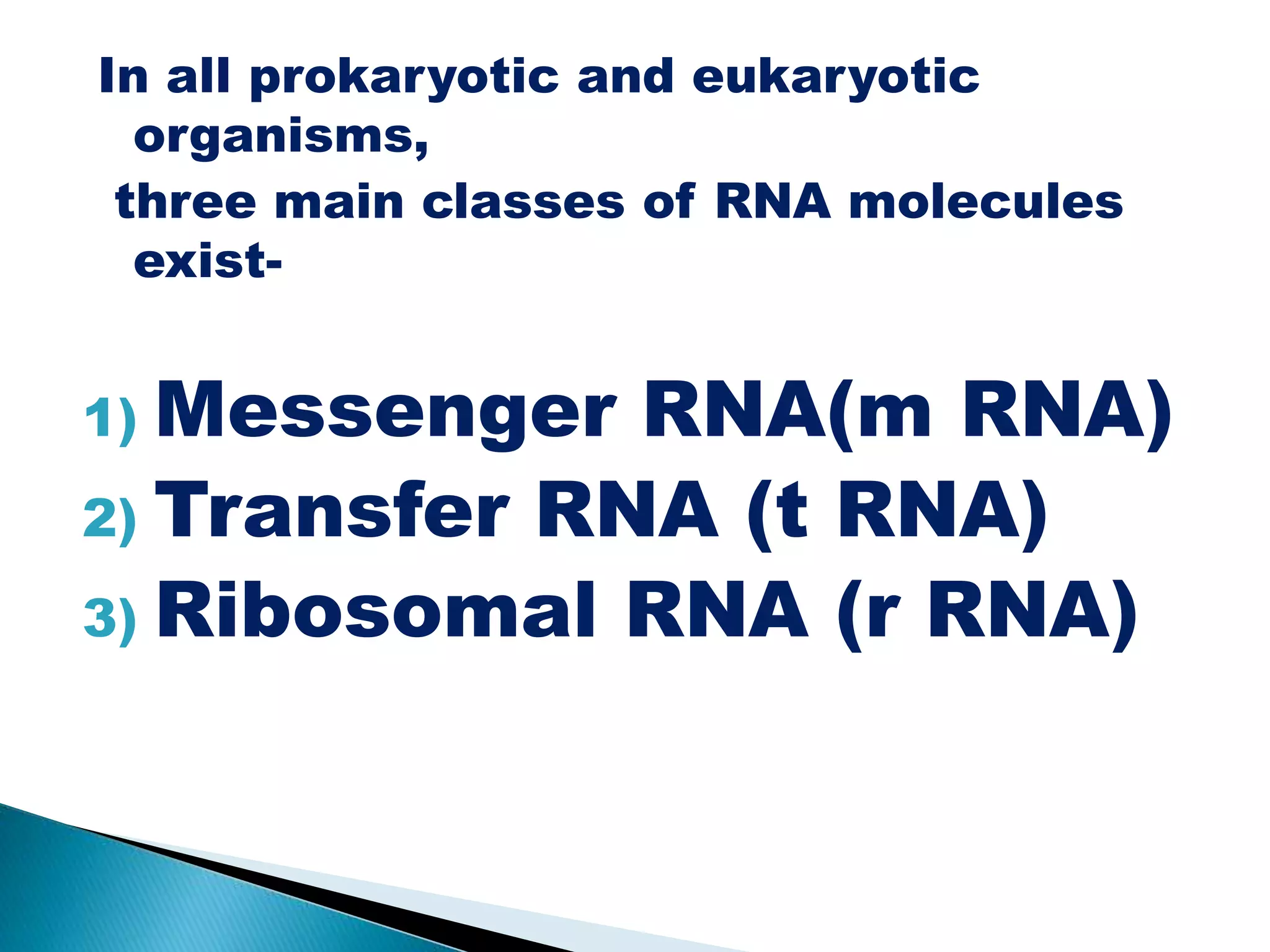 Types Of Rna Pptx Programming Languages Computing