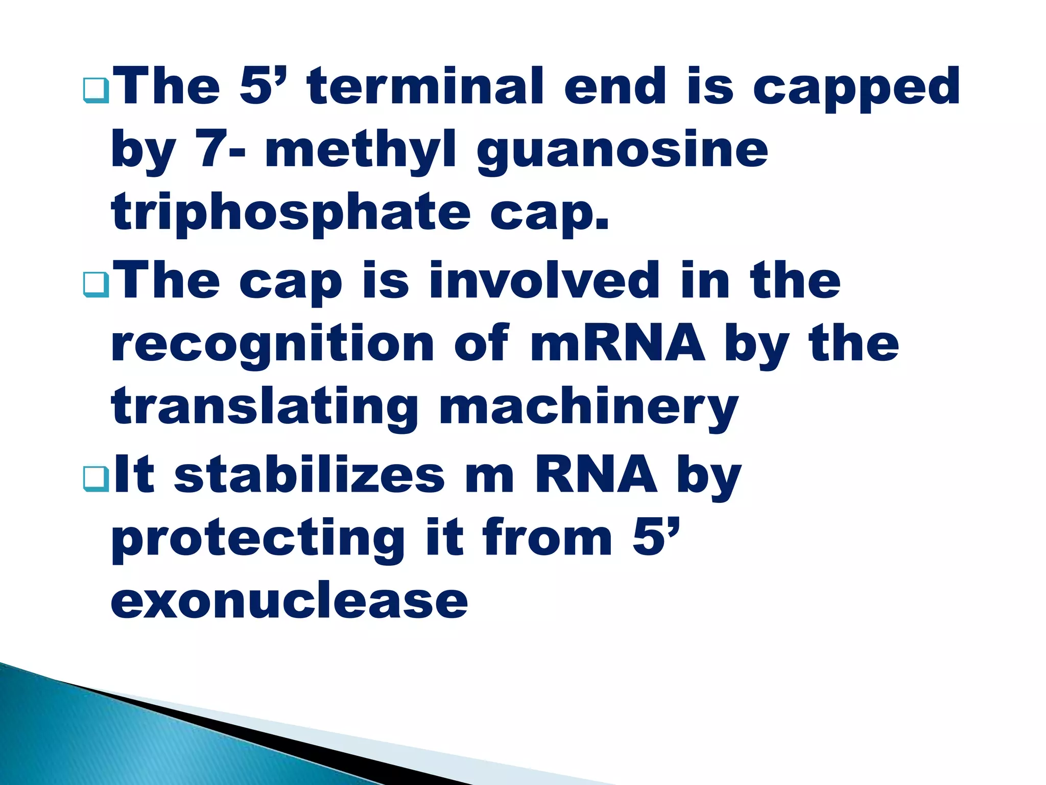 Types Of Rna Pptx Programming Languages Computing
