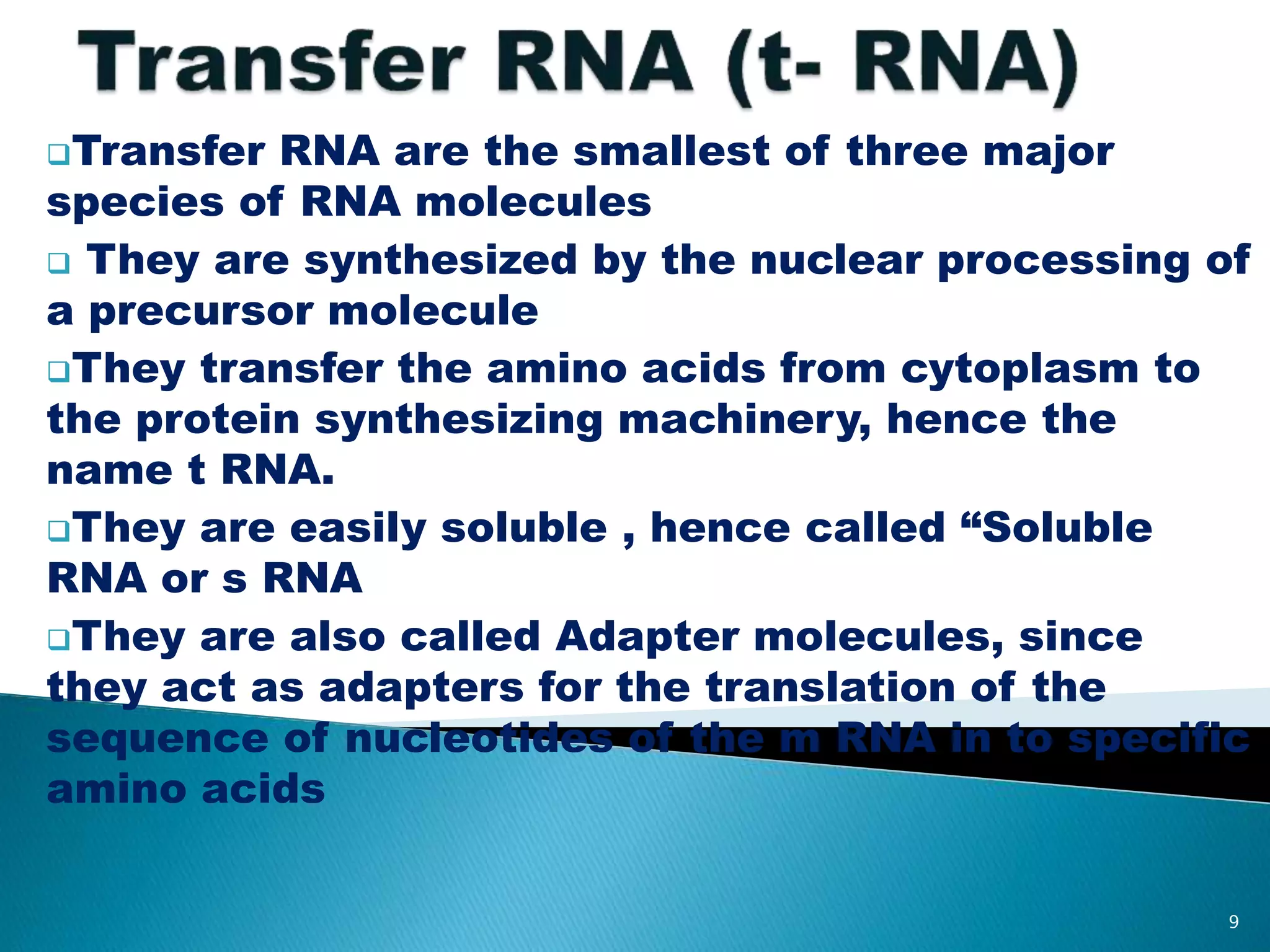 Types Of Rna Pptx Programming Languages Computing