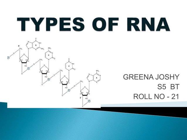 Types of rna | PPTX | Programming Languages | Computing