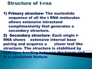 Types of rna | PPTX | Programming Languages | Computing