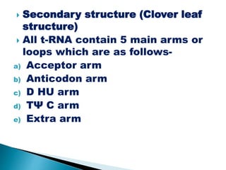 Types of rna | PPTX | Programming Languages | Computing