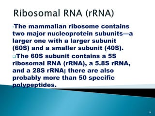 Types of rna | PPTX | Programming Languages | Computing