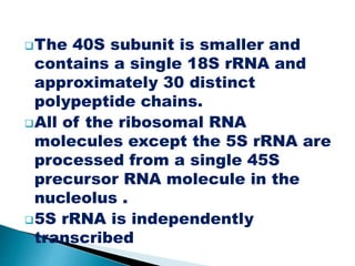 Types of rna | PPTX