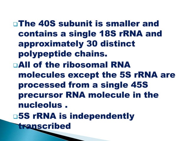 Types Of Rna Pptx Programming Languages Computing