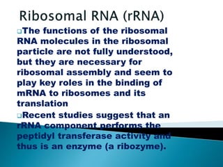 Types of rna | PPTX | Programming Languages | Computing