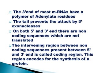 Types of rna | PPTX | Programming Languages | Computing