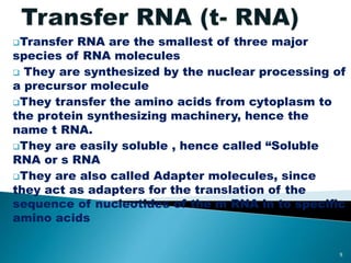 Types of rna | PPTX | Programming Languages | Computing