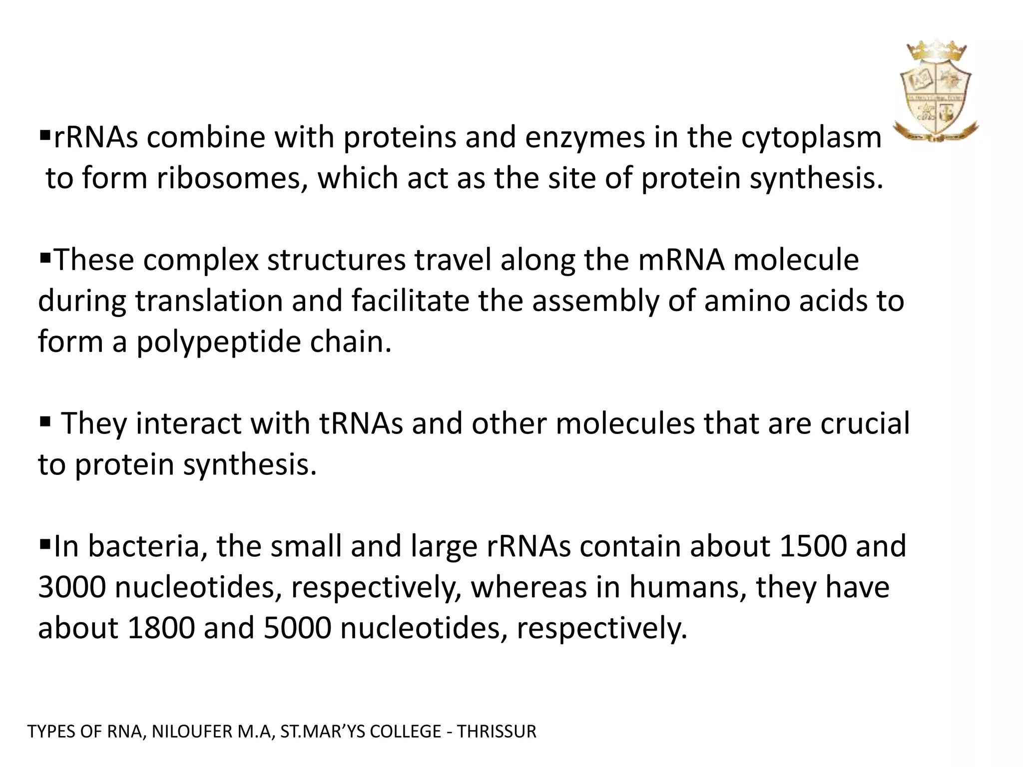 Types of RNA | PPTX