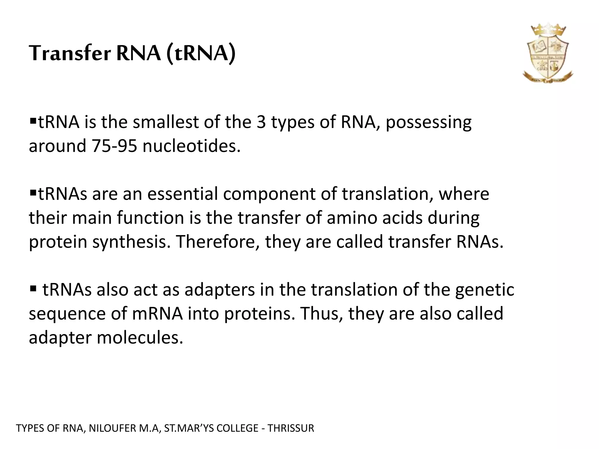 Types of RNA | PPTX