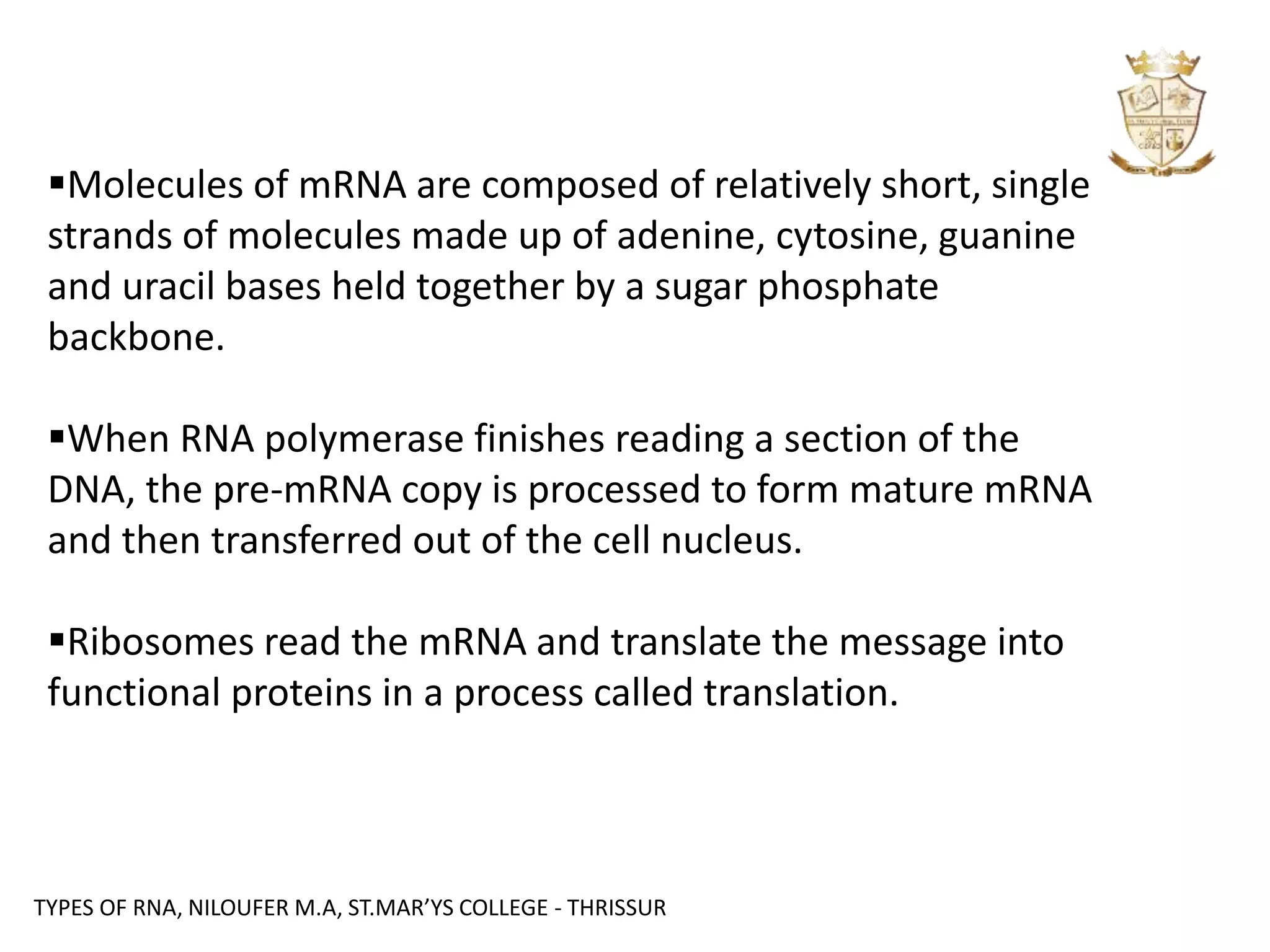 Types of RNA | PPTX