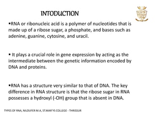 Types of RNA | PPTX