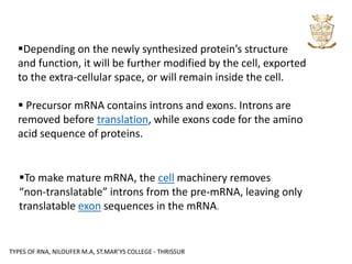Types of RNA | PPTX
