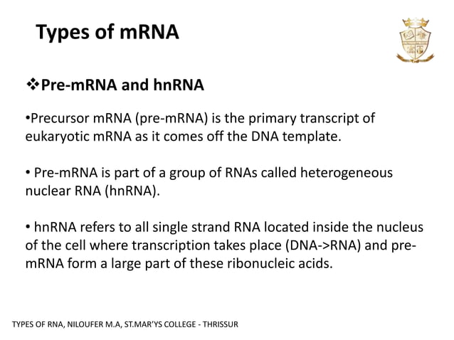 Types of RNA | PPTX