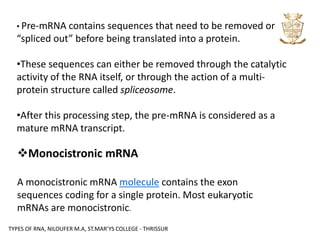 Types of RNA | PPTX