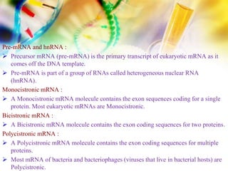 Types of RNA | PPTX